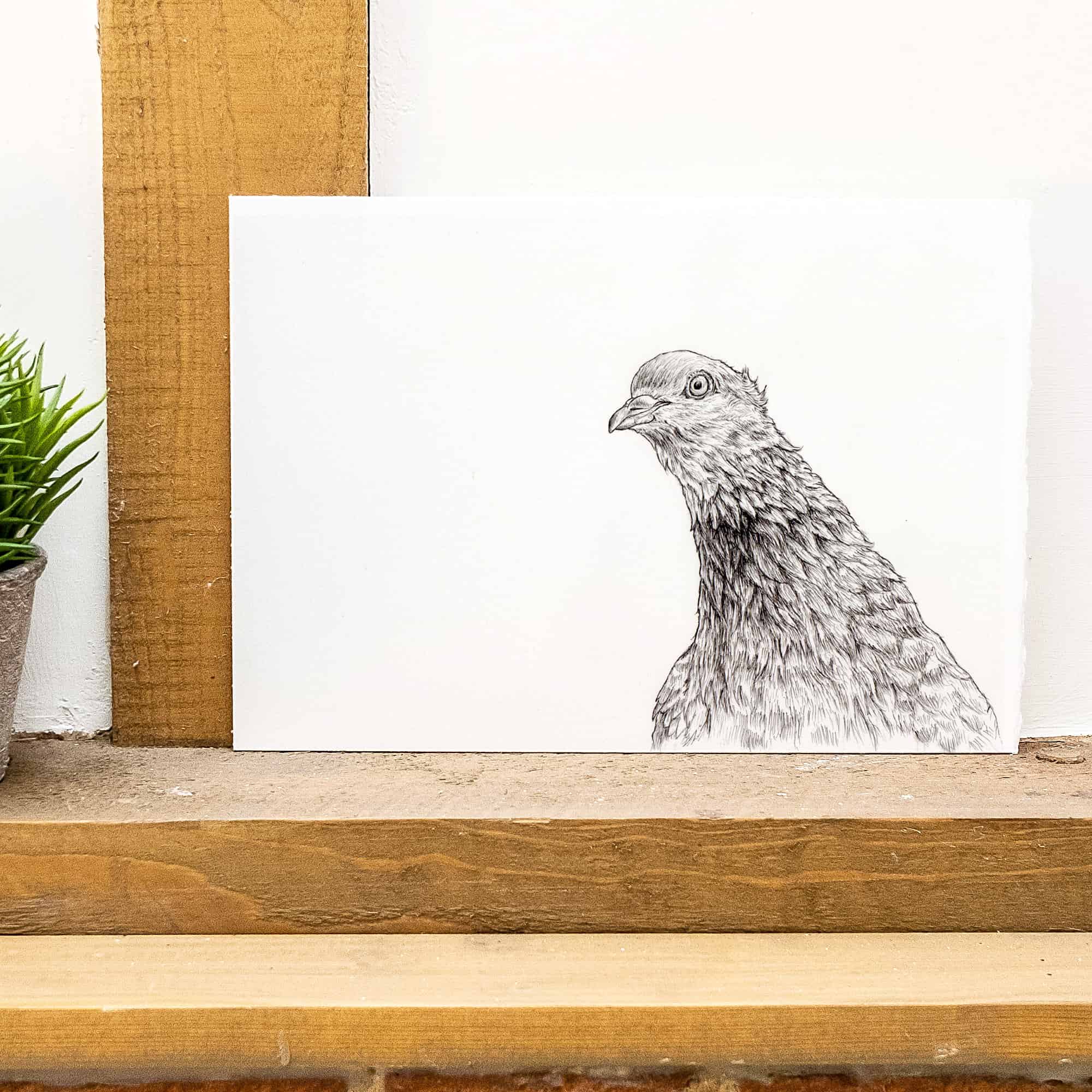 Pigeon Original - Pigeon Art – Bewilderbeest